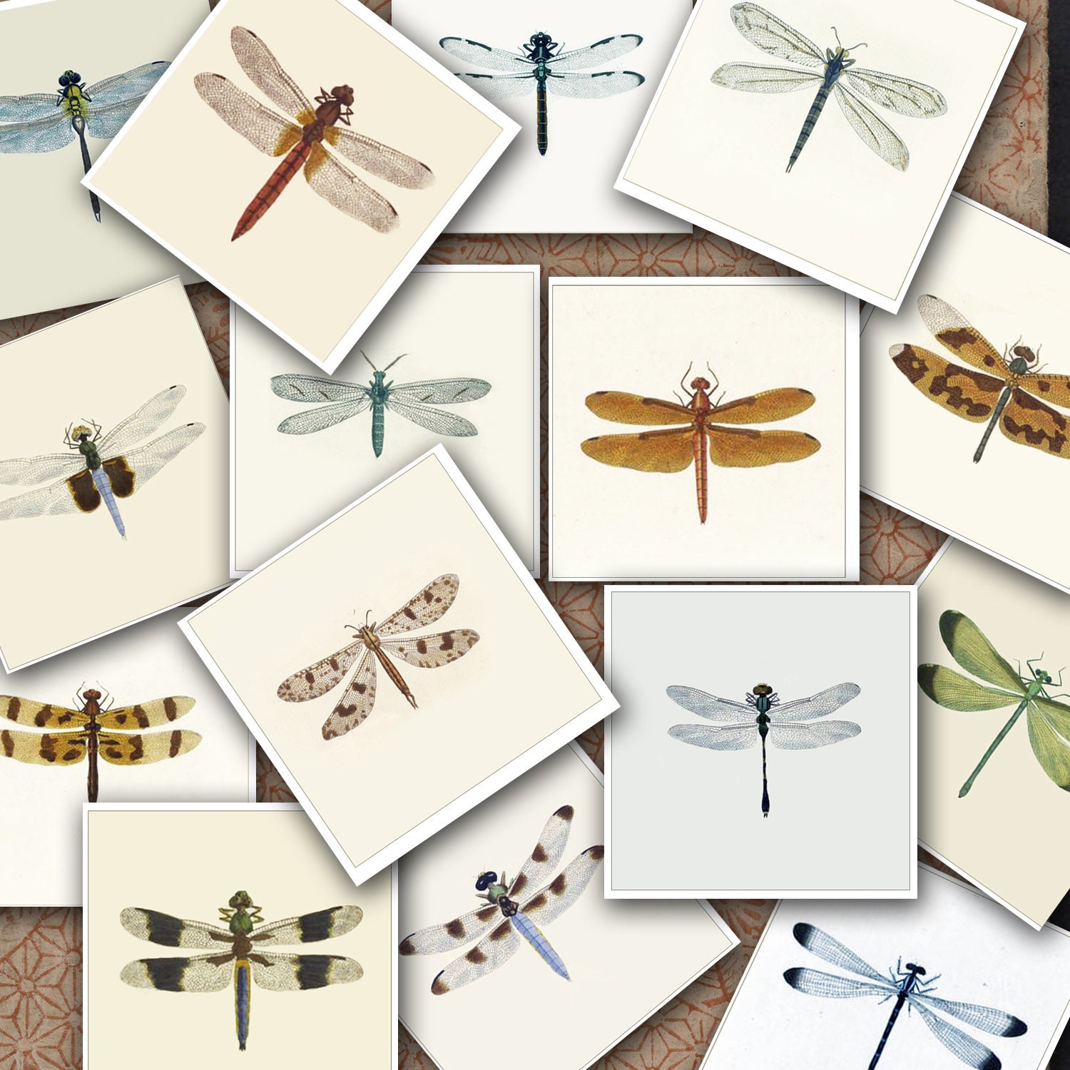 Dragonfly Printable Instant Download 2 Inch Squares Digital Collage ...