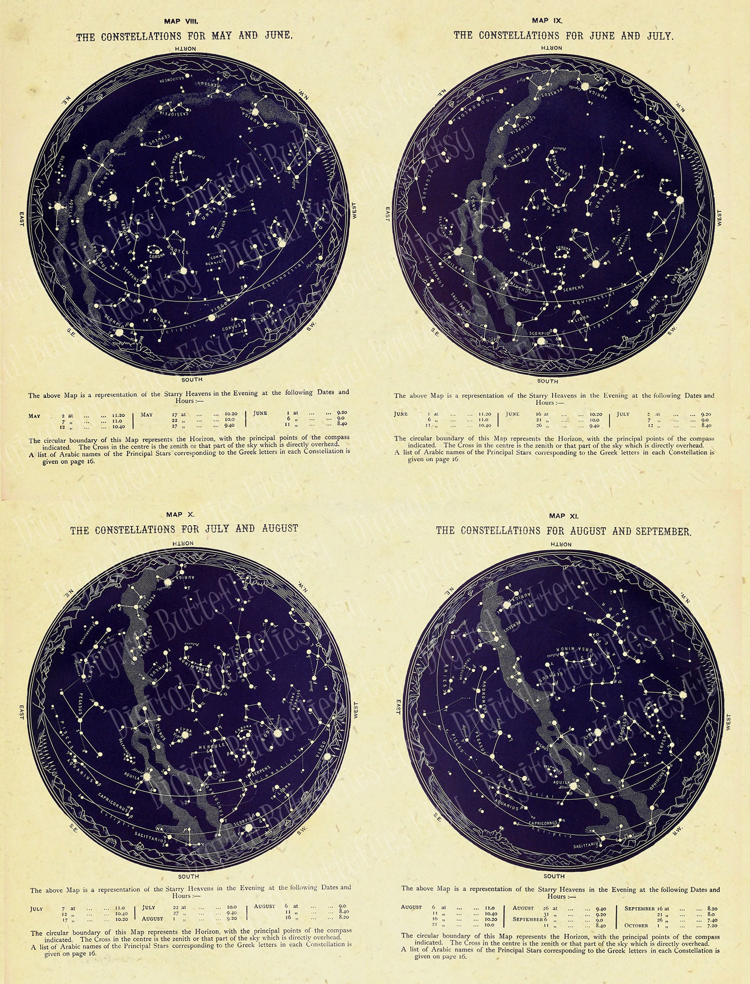Printable Constellations Monthly Star Maps Digital Collage - Etsy