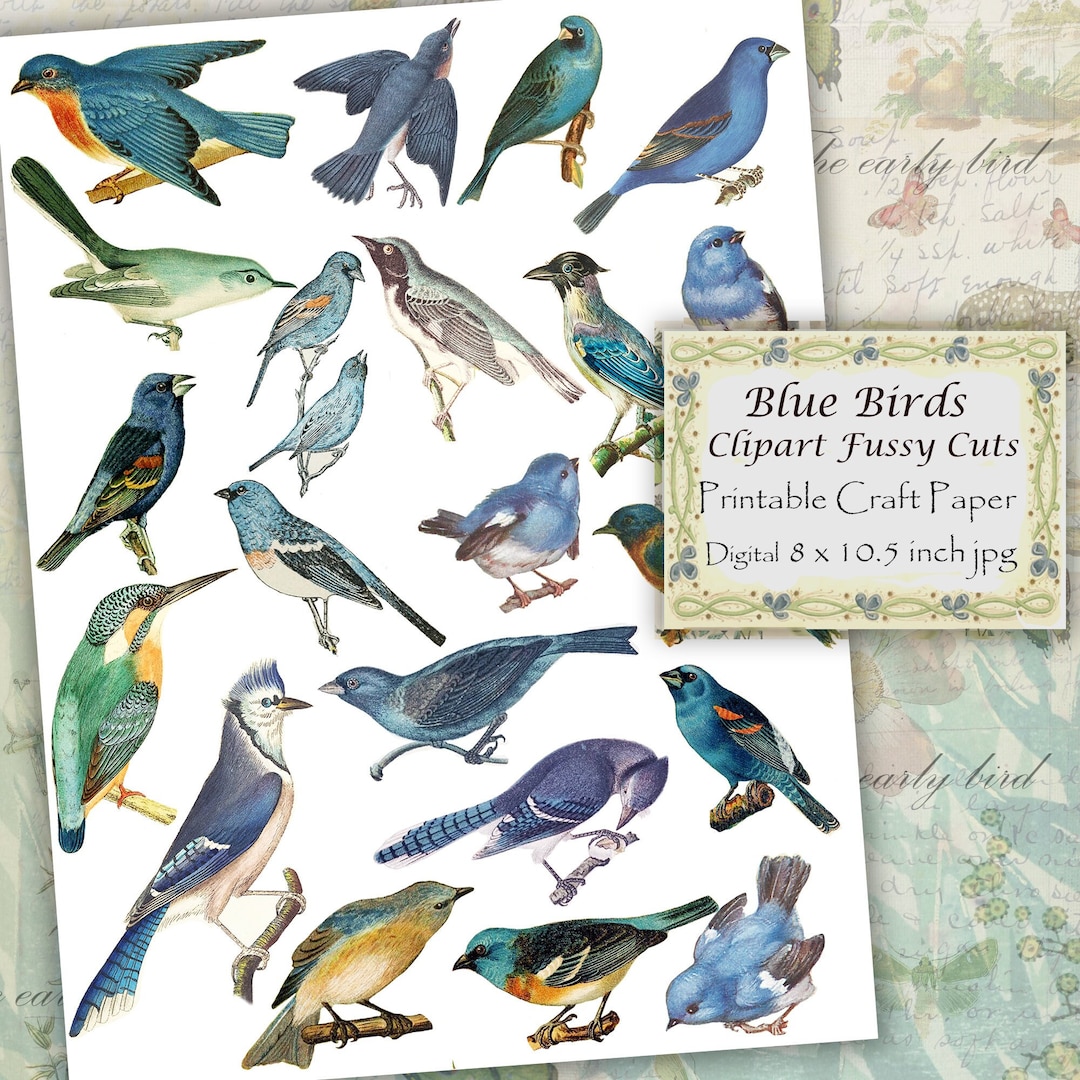Printable Blue Birds Digital Collage Sheet, Natural History Vintage ...