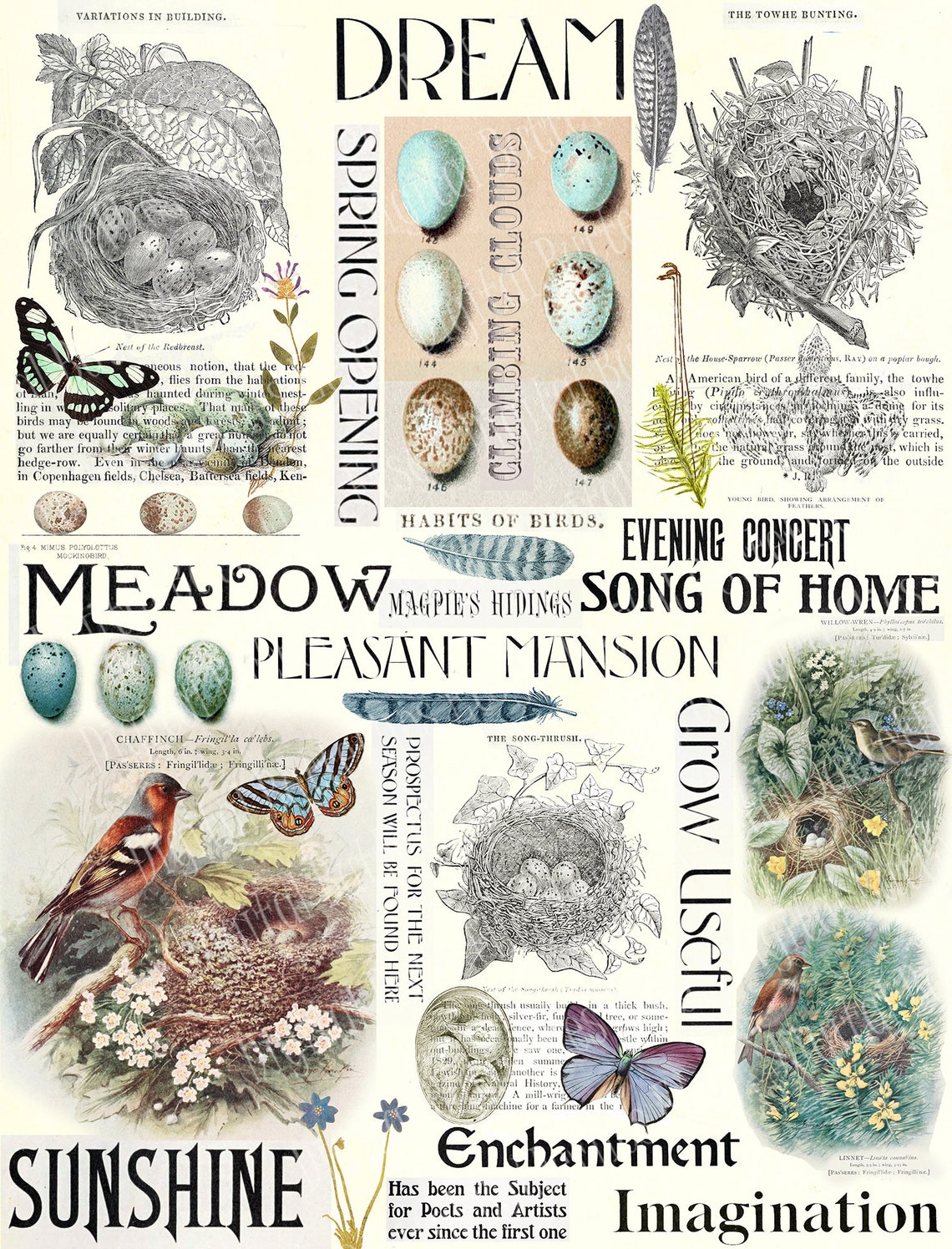 Printable Spring Journal Prompts, Birds Nests, Eggs, Inspiration ...