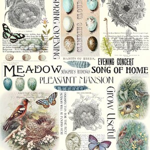 Printable Spring Journal Prompts, Birds Nests, Eggs, Inspiration ...