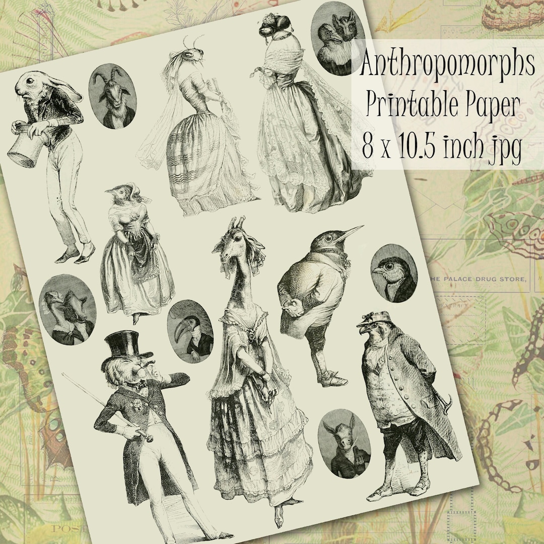 Anthropomorphic Clip Art, Digital Collage Sheet Funny Animals Download ...