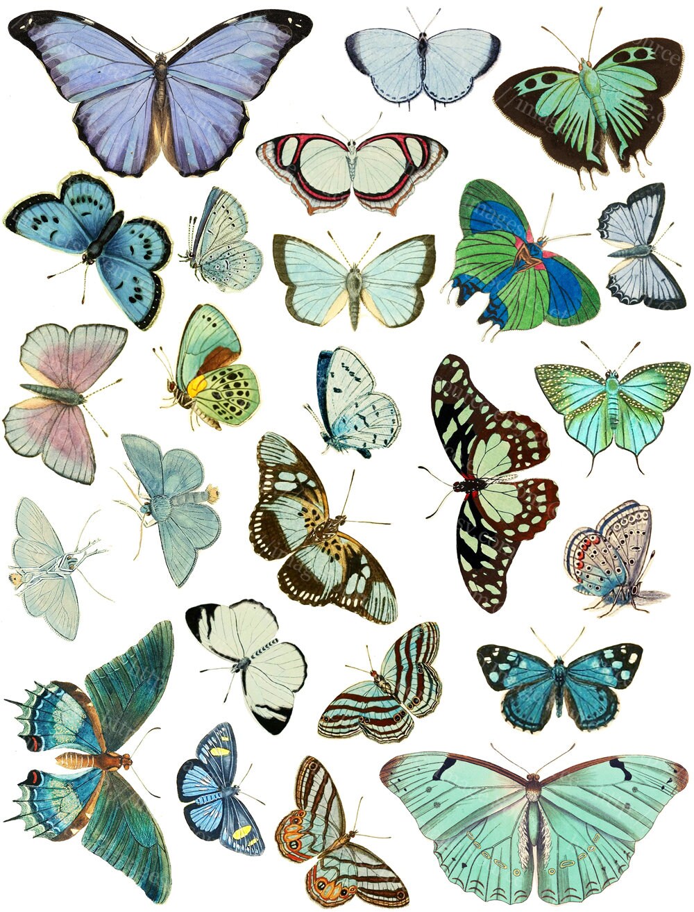 Blue Butterflies Digital Collage Sheet Cottage Garden, Nature Printable ...