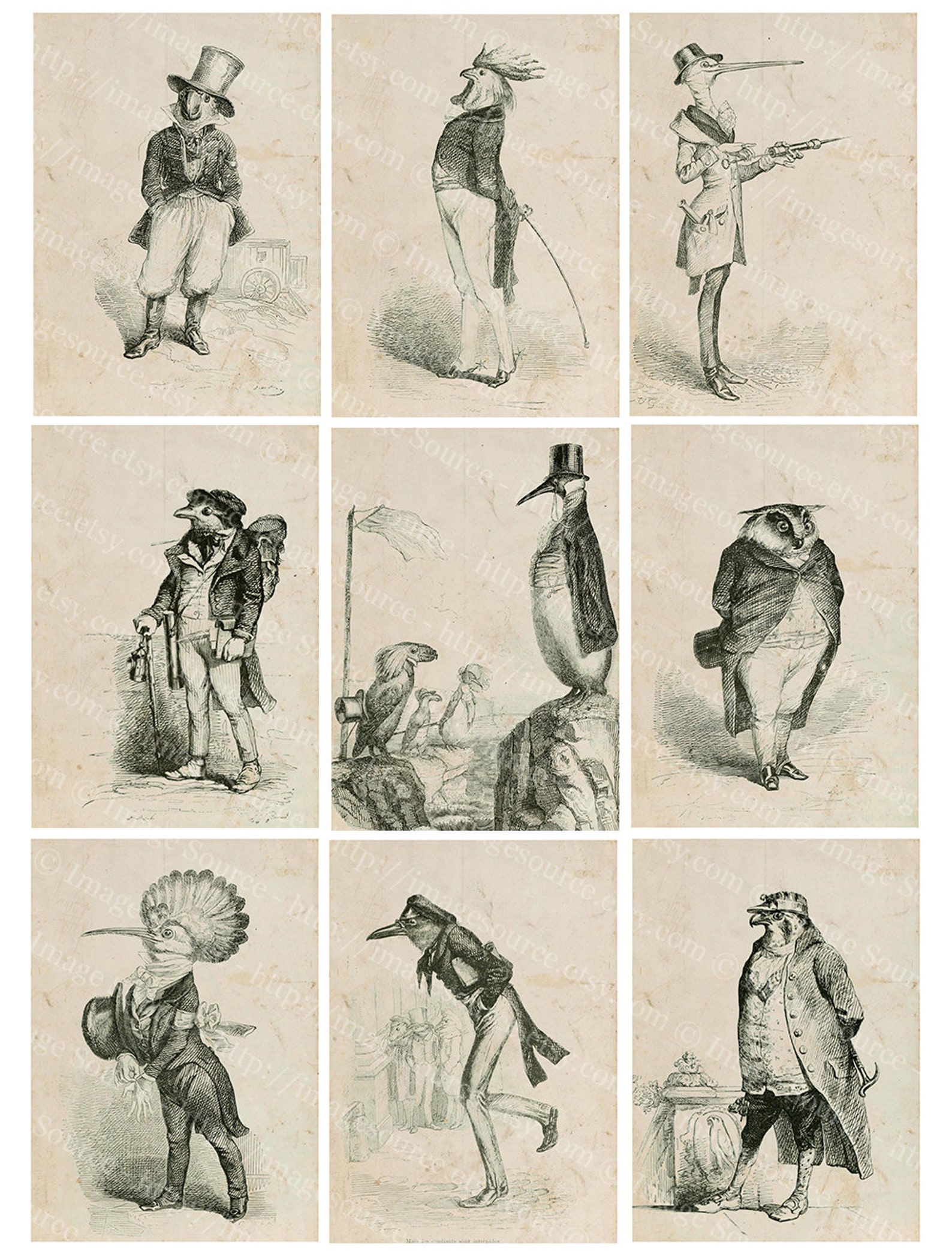 Strange Birds Anthropomorphic Cards Printable, Digital Collage Sheet ...