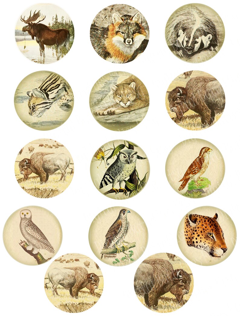 Printable Spirit Animal Totem Charm Images, 51 2 Inch Circles, Set of Four 8 X 10.5 Inch Jpg ...