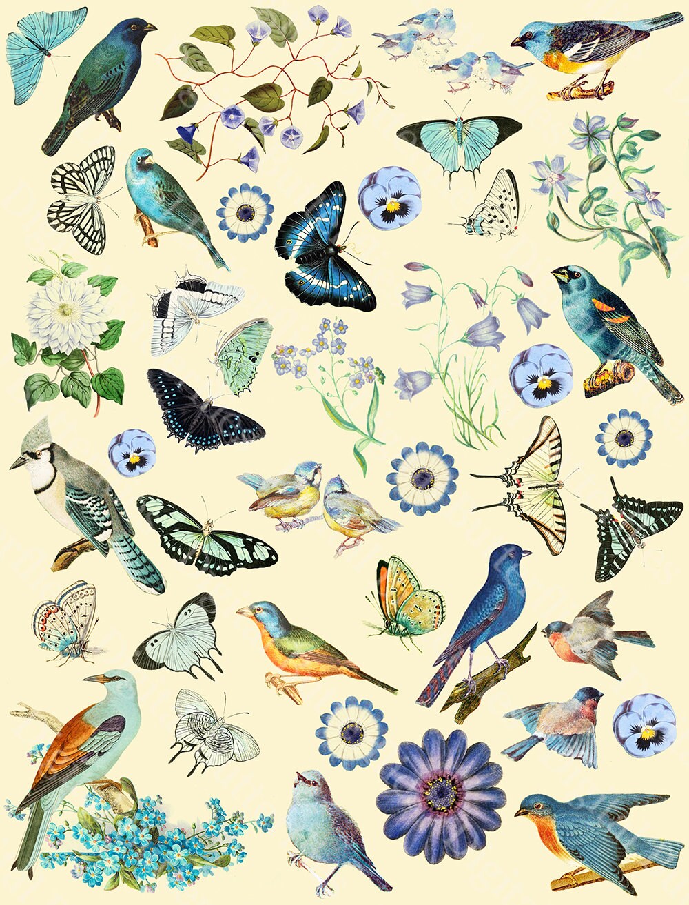 Little Blue Birds Butterflies and Blooms Cottage Garden | Etsy