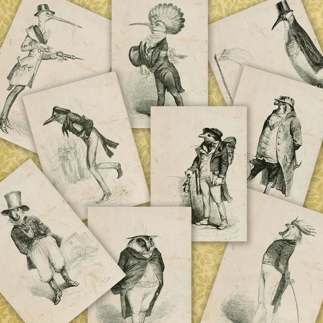 Strange Birds Anthropomorphic Cards Printable, Digital Collage Sheet ...