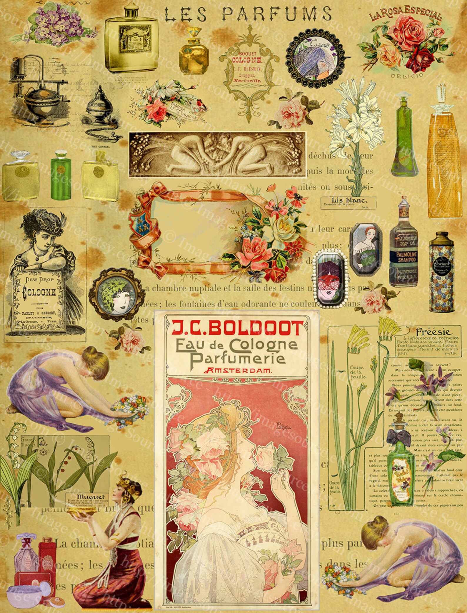 Perfume Collage Poster Printable Wall Art, Art of Perfumery, Room Decor ...