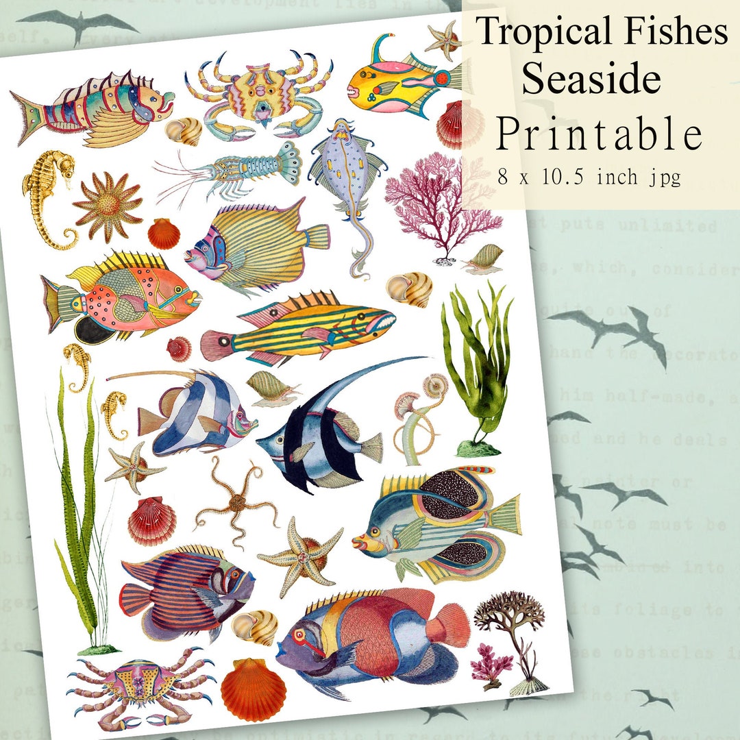 Printable Tropical Fish, Marine Life Watercolor Images, 8x 10.5 Inch ...