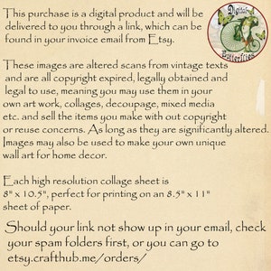 Peter Rabbit Scrapbooking Printable Digital Collage Sheet, Beatrix ...