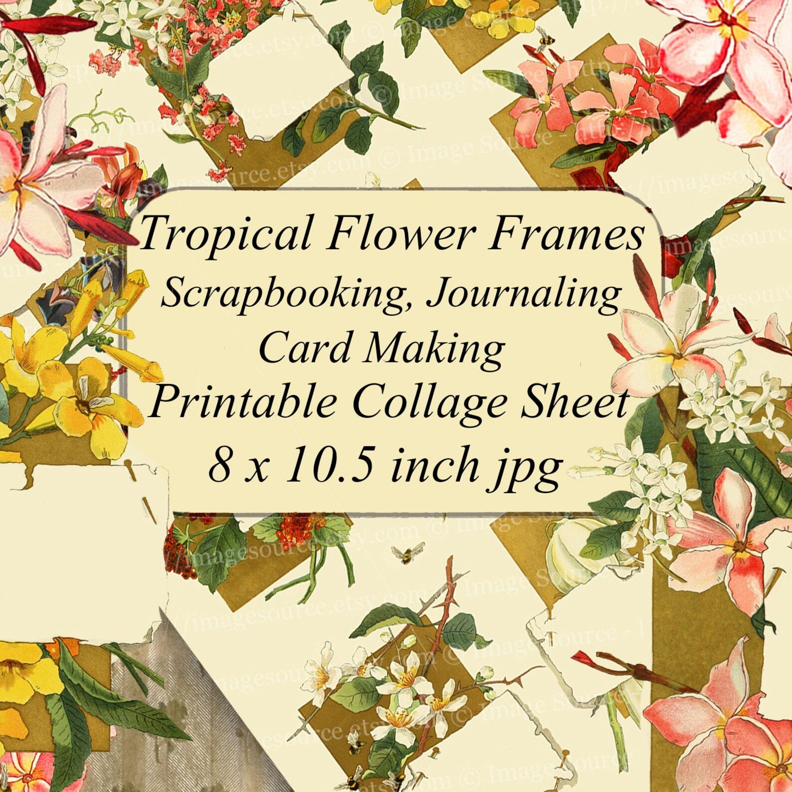 Tropical Flower Frames Printable for Scrapbook Junk Journal - Etsy