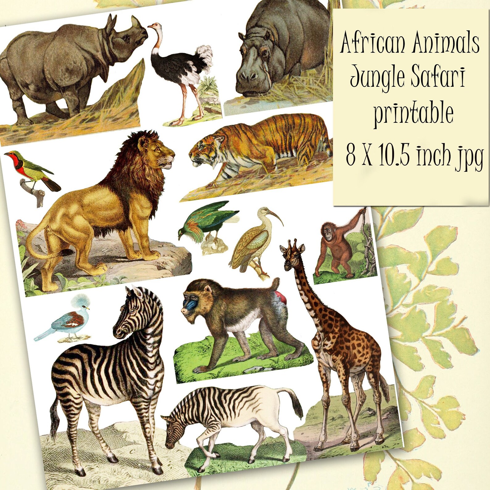 Animals of Africa Jungle Safari Printable Clipart, Journaling ...