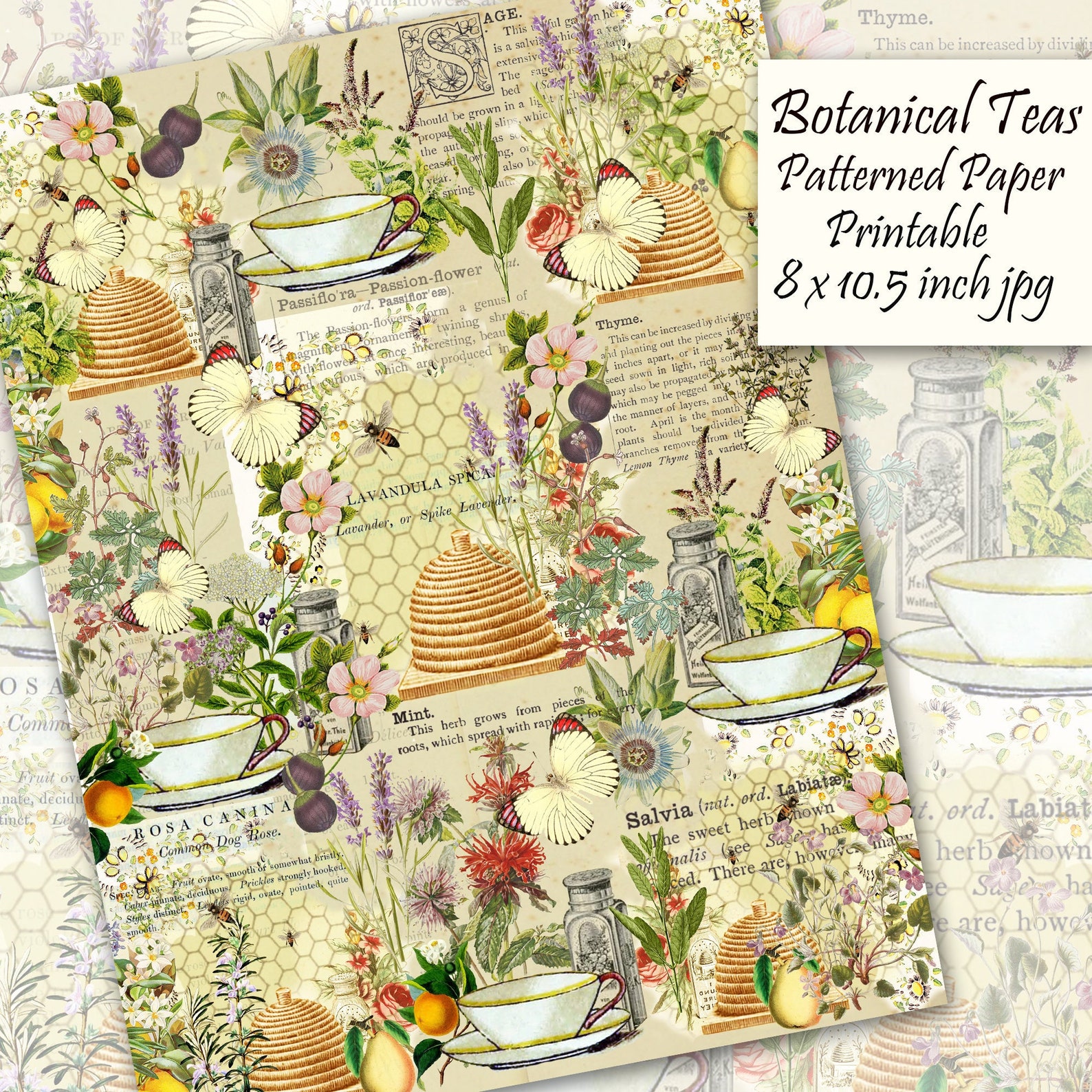Botanical Teas Printable Pattern Paper Herbal Collection, Tea Garden ...