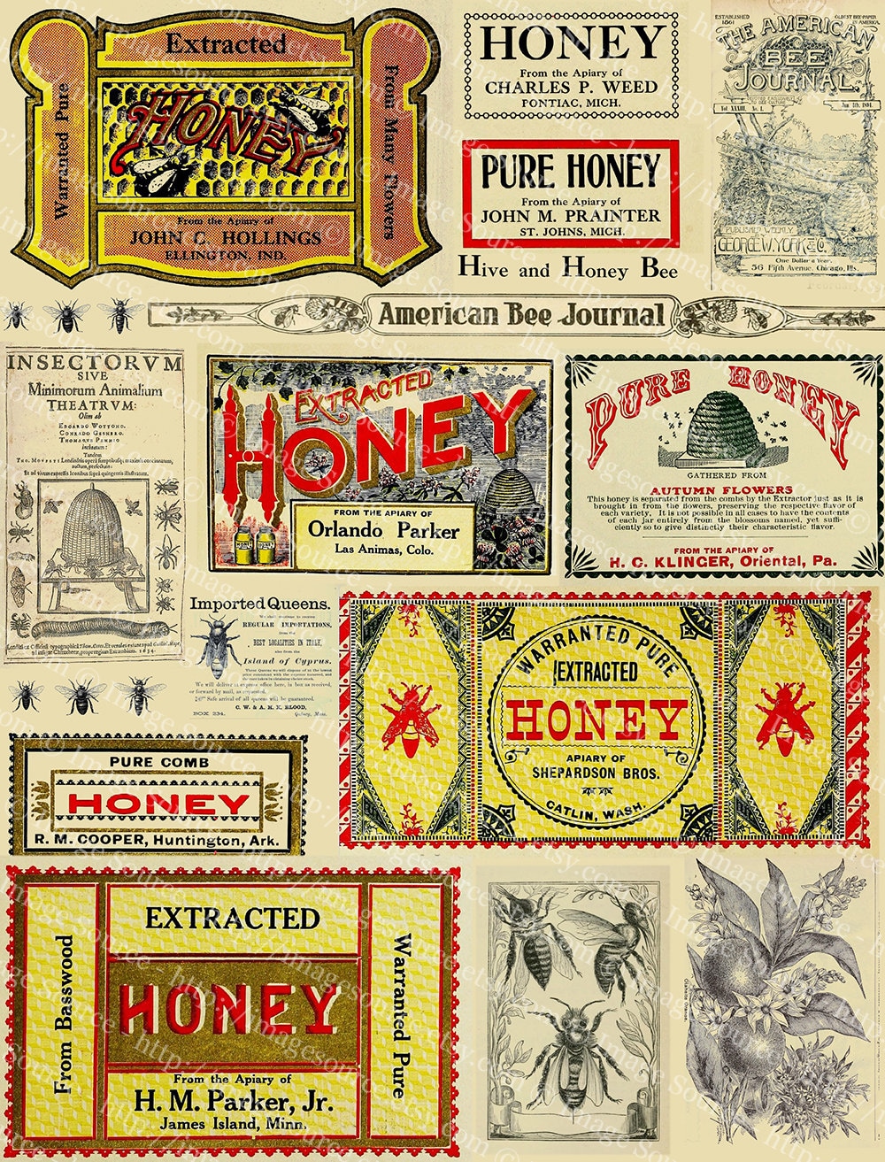 Printable Vintage Honey Jar Labels, Bee Keeping Ephemera, Honey ...