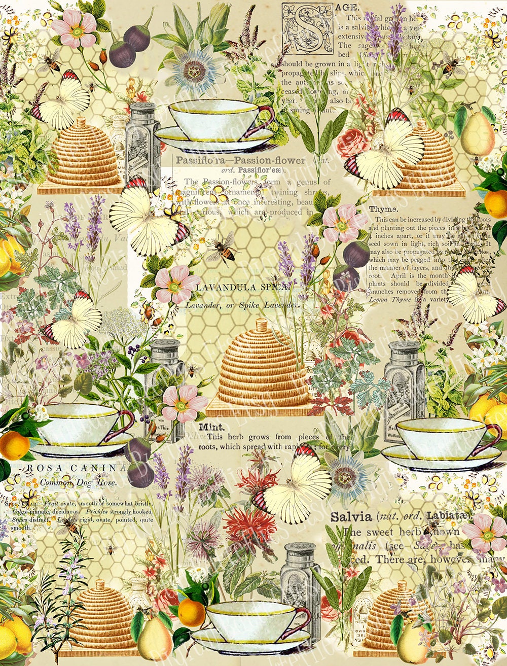 Botanical Teas Printable Pattern Paper Herbal Collection, Tea Garden ...