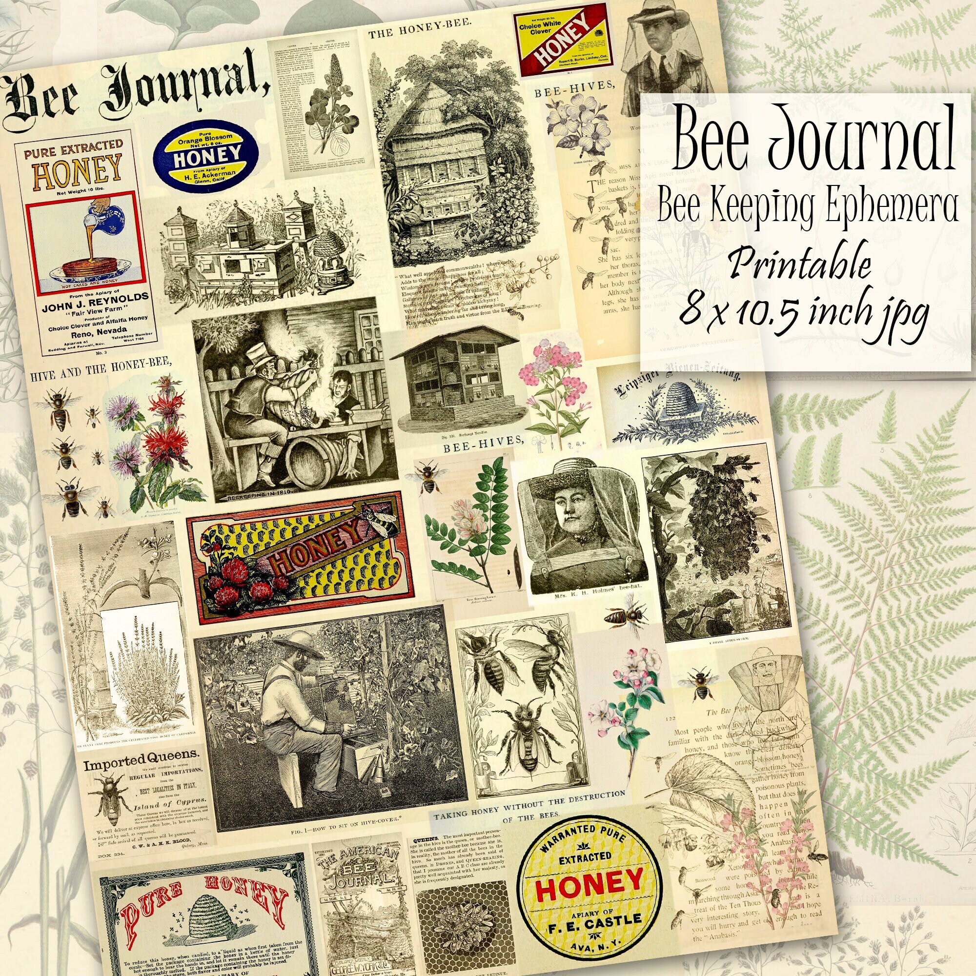 Printable Bee Ephemera Bees, Bee Keepers, Hives, and Pollen Plants ...