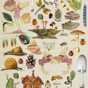 Printable Goblincore Collage Elements, Woodland Wee Folk, Enchanted ...