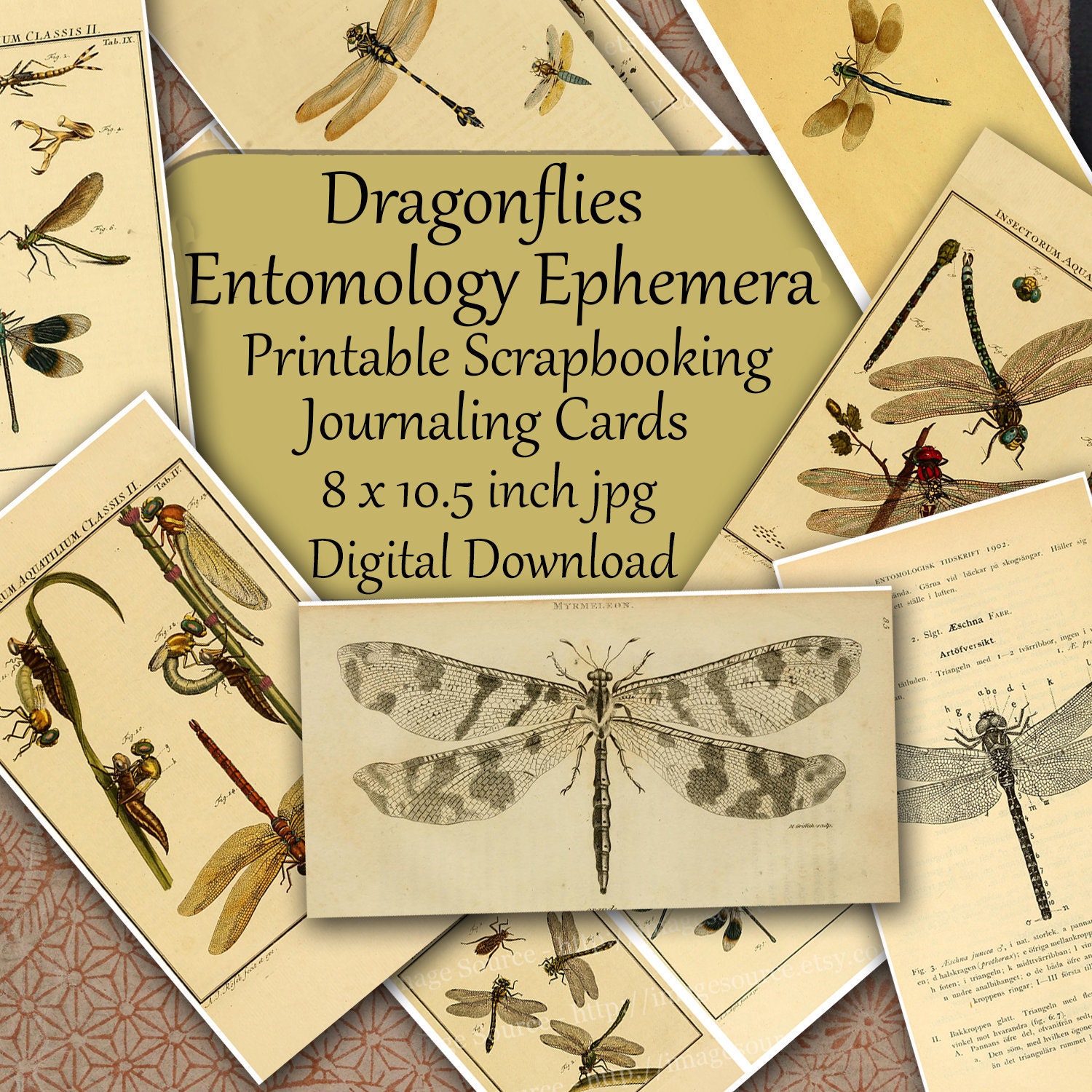 Dragonflies Ephemera Digital Collage Sheet Vintage Natural History ...