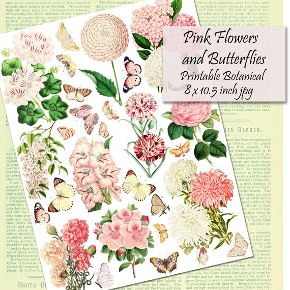 Pink Butterflies and Blooms Printable Flower Garden Collage | Etsy