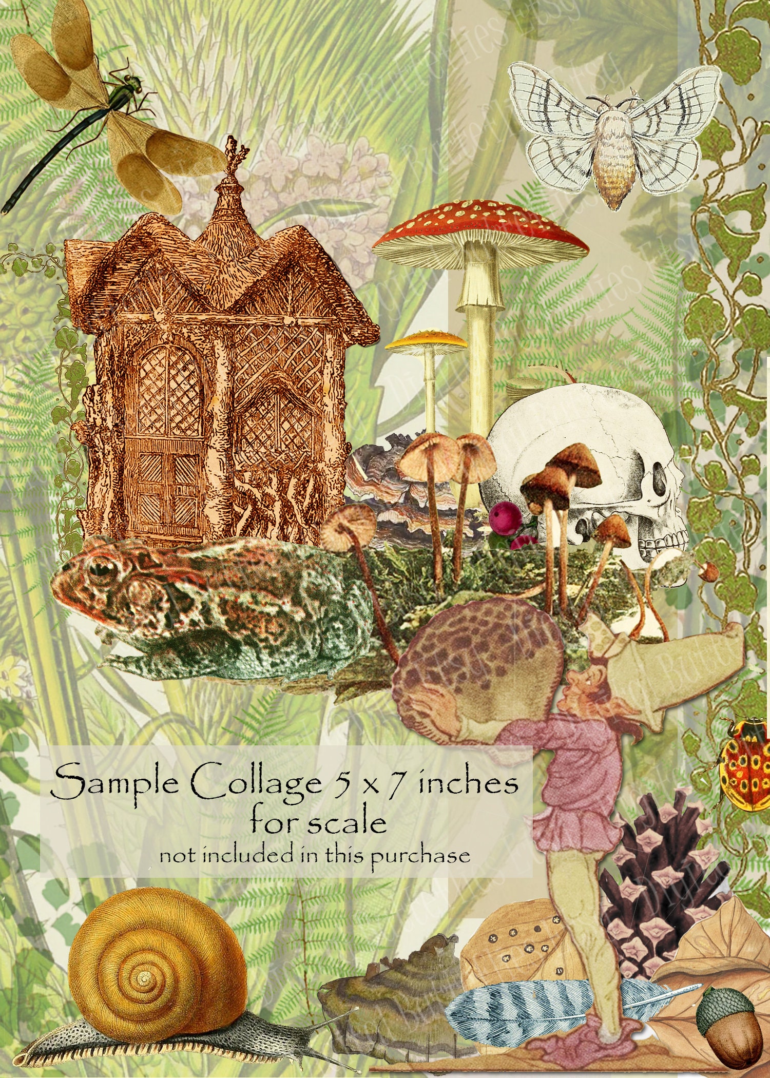 Printable Goblincore Collage Elements, Woodland Wee Folk, Enchanted ...