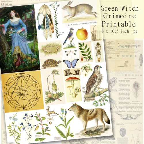 Green Witch Grimoire Printables Scrapbook Paper Junk Journal - Etsy