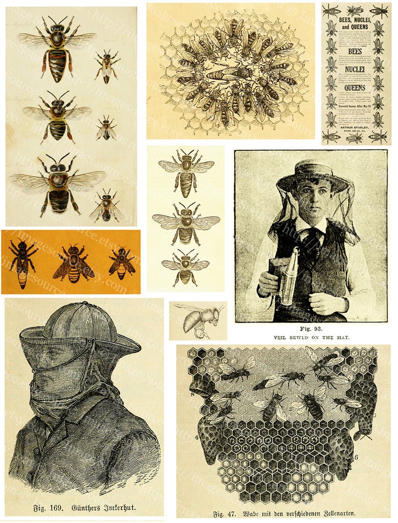Honey Bees Bee Keepers Printable Victorian Farming Digital - Etsy