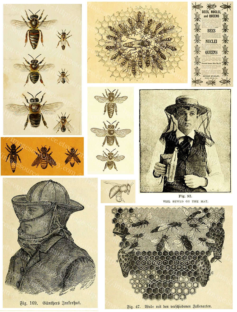 Honey Bees Bee Keepers Printable Victorian Farming Digital | Etsy