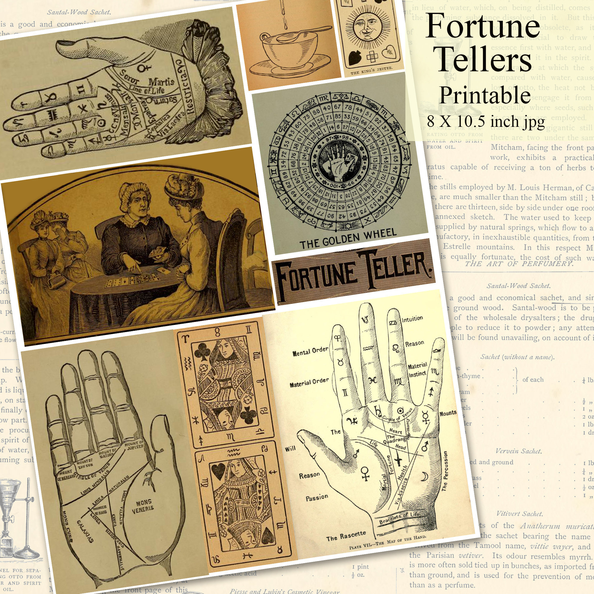 Fortune Teller Printable Collage Sheet Antique Images - Etsy