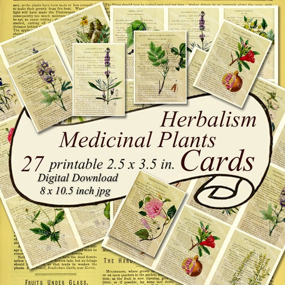 Herbal Botany Printable Cards Set 27 Medicinal Plants 2.5 x | Etsy