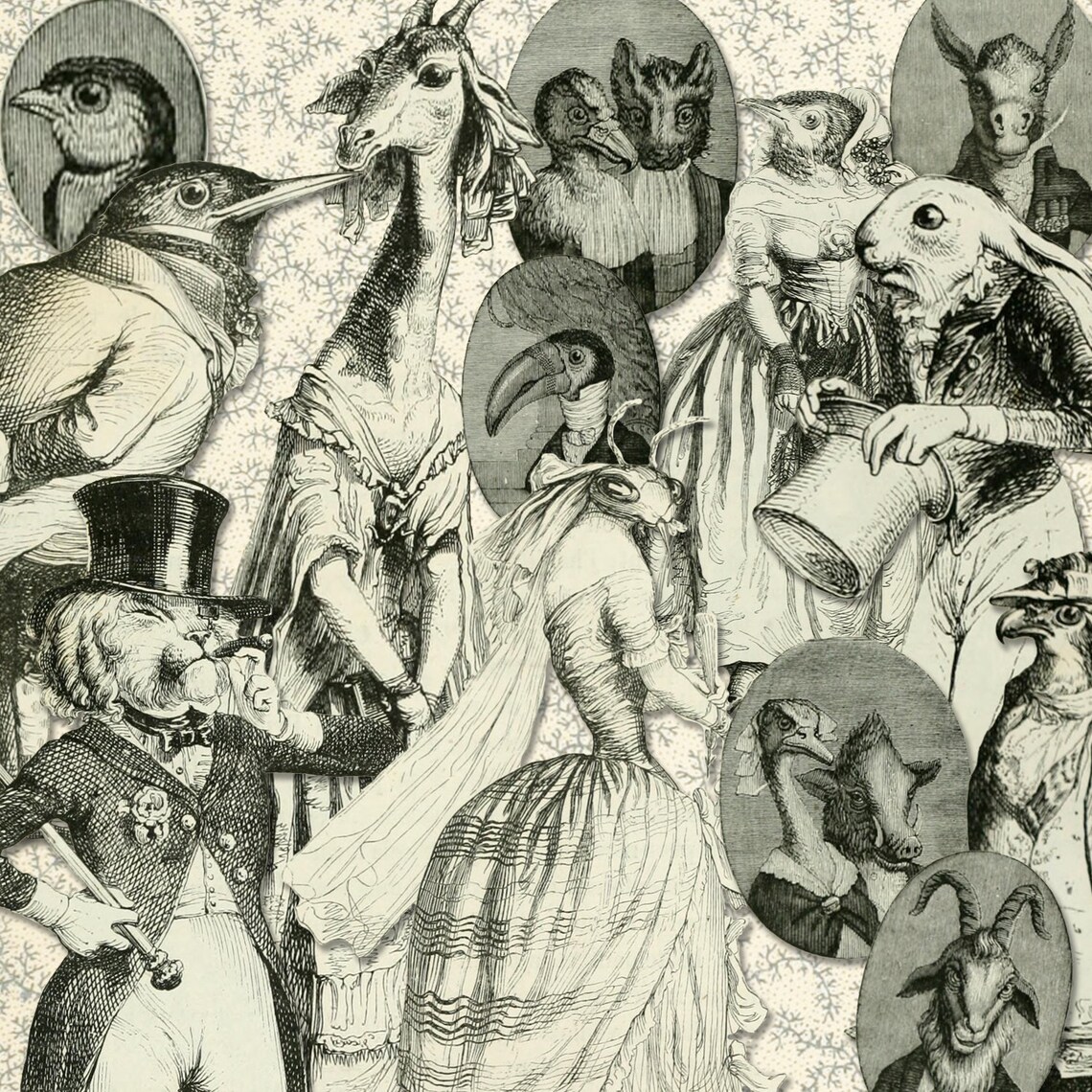 Anthropomorphic Clip Art, Digital Collage Sheet Funny Animals Download ...