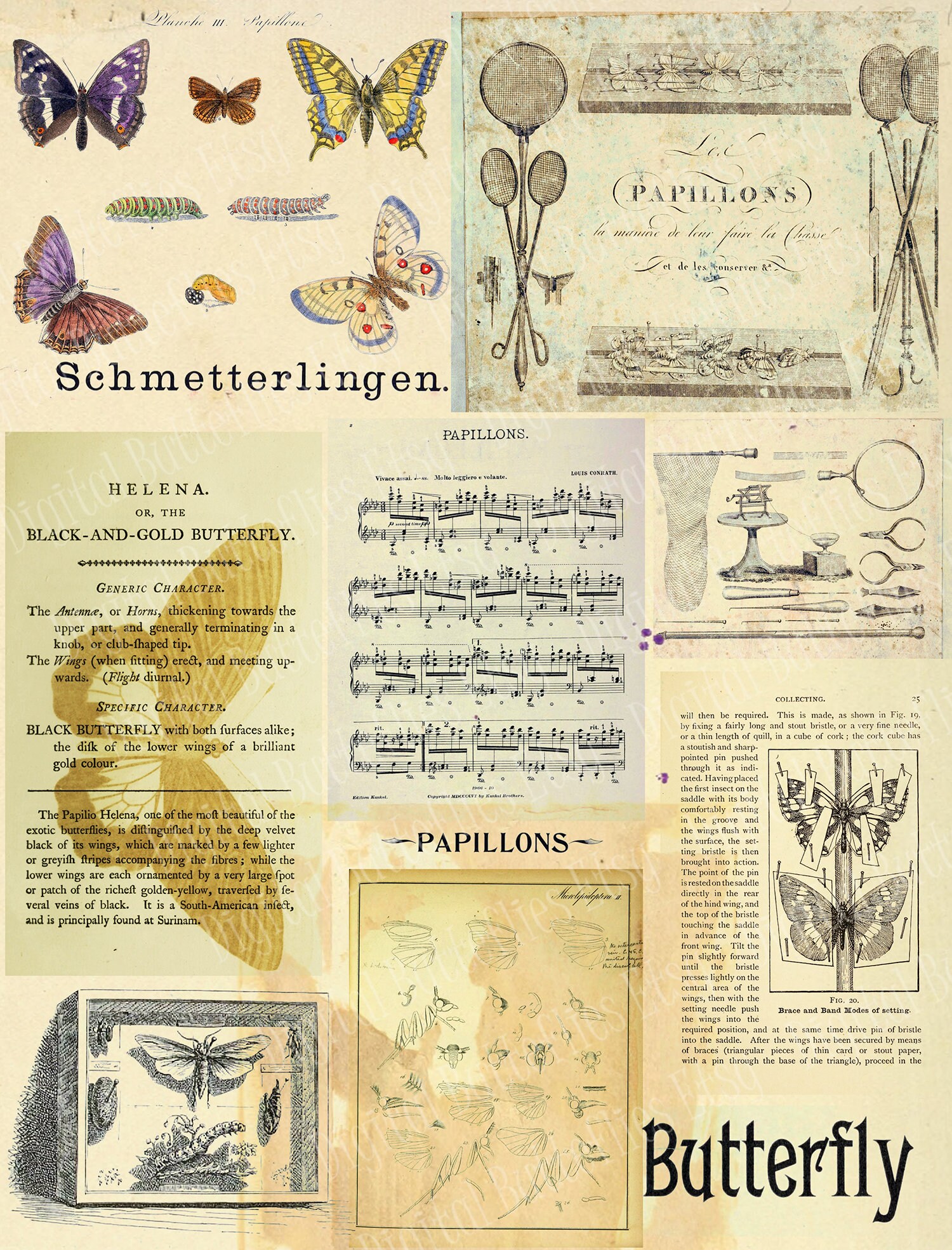 Printable Butterfly Ephemera Set of 2 Digital Craft Papers, Backgrounds ...