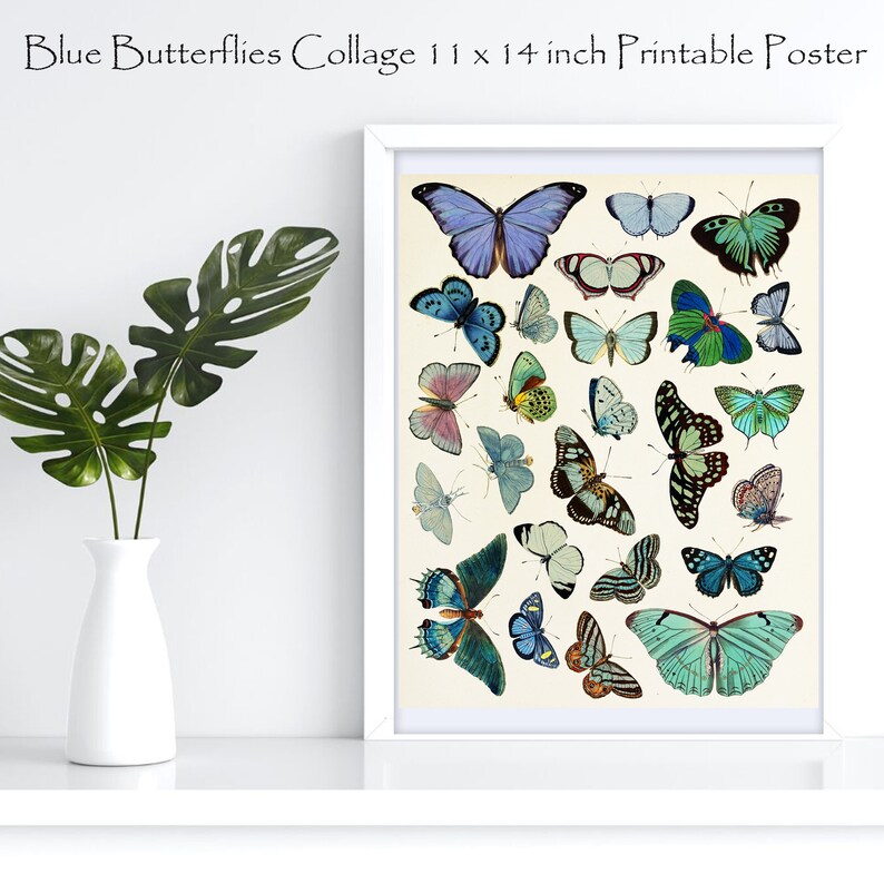 Printable Blue Butterflies Wall Art, Colorful Butterfly Collage ...
