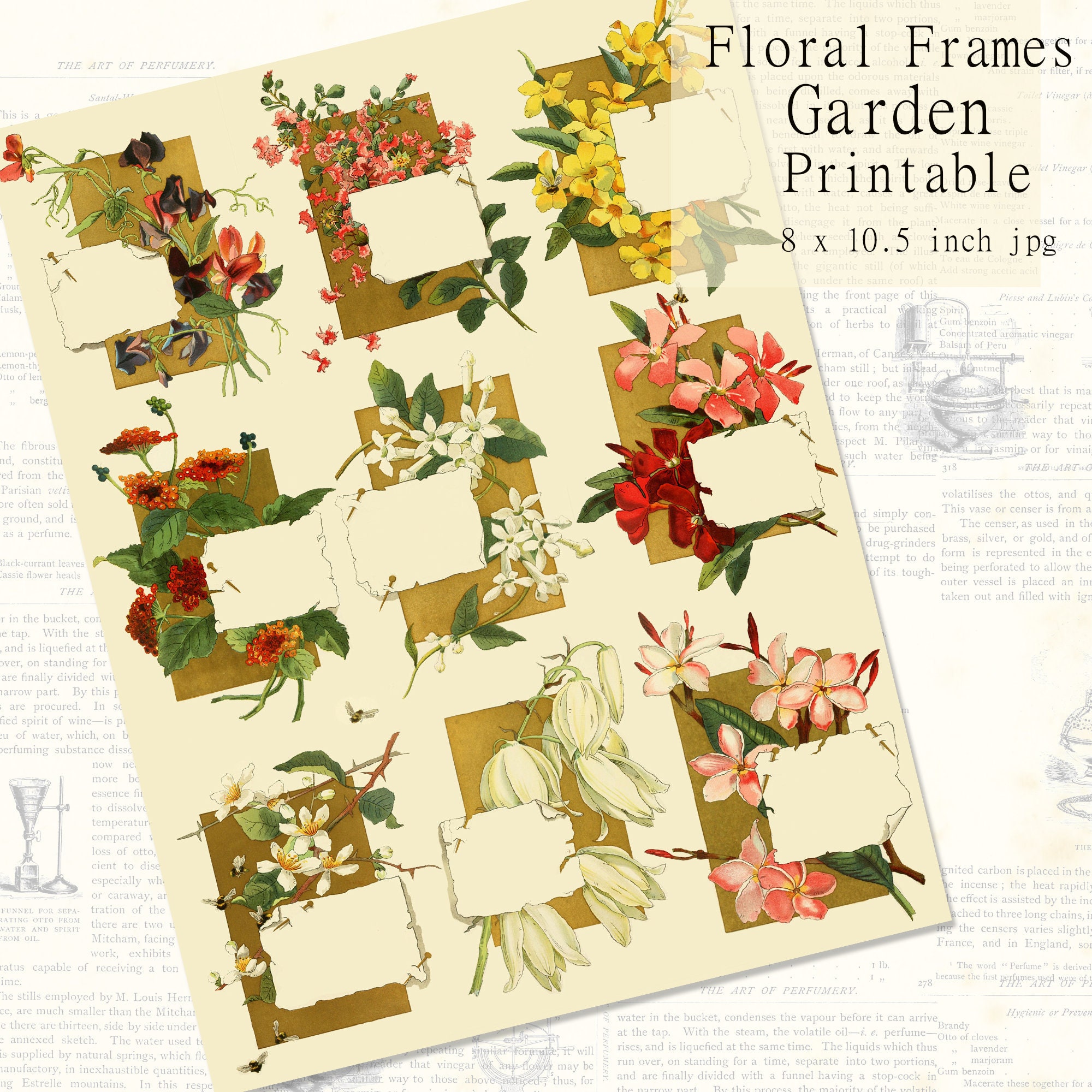 Tropical Flower Frames Printable for Scrapbook Junk Journal - Etsy