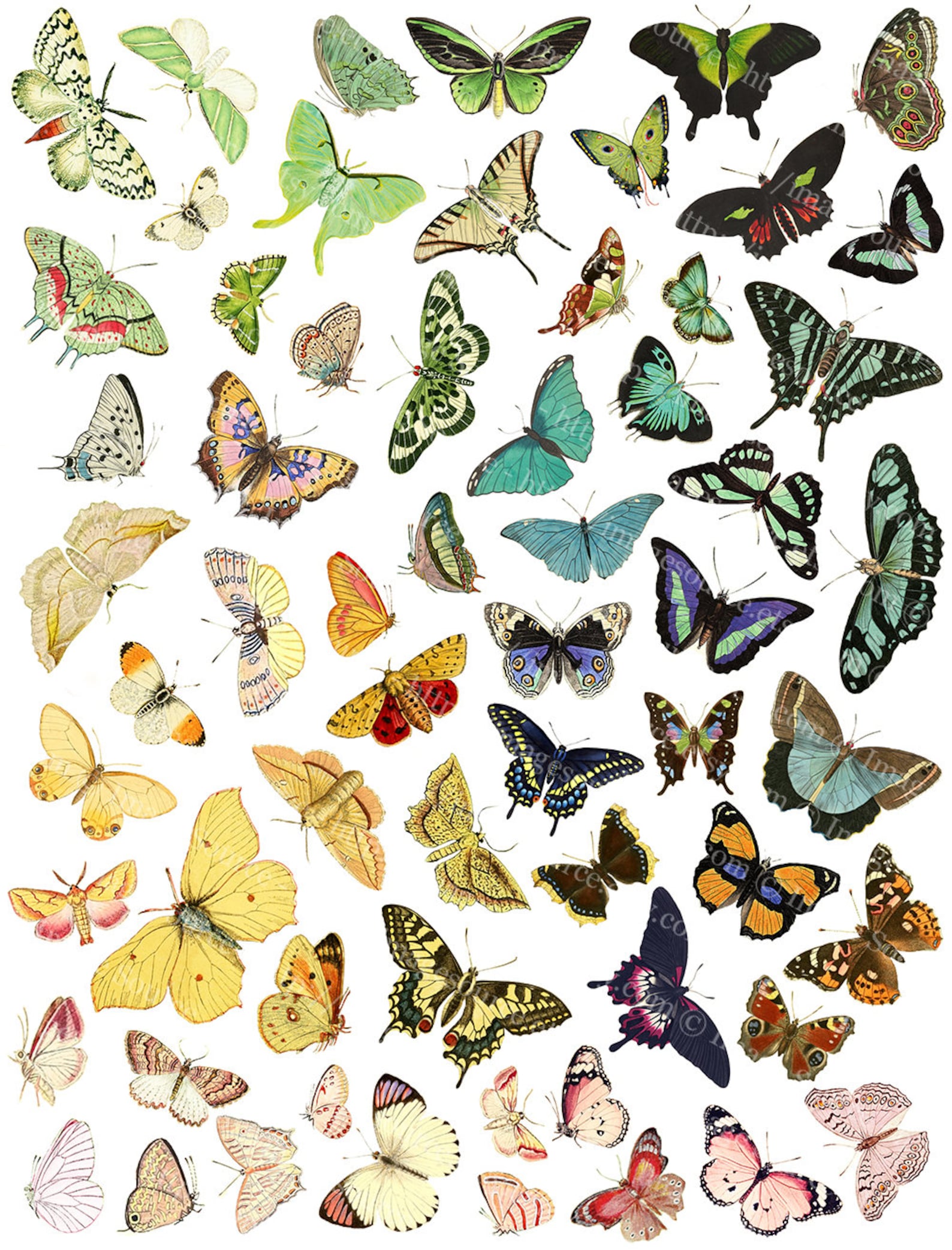 Colorful Butterflies Printable Digital Collage Sheet | Etsy