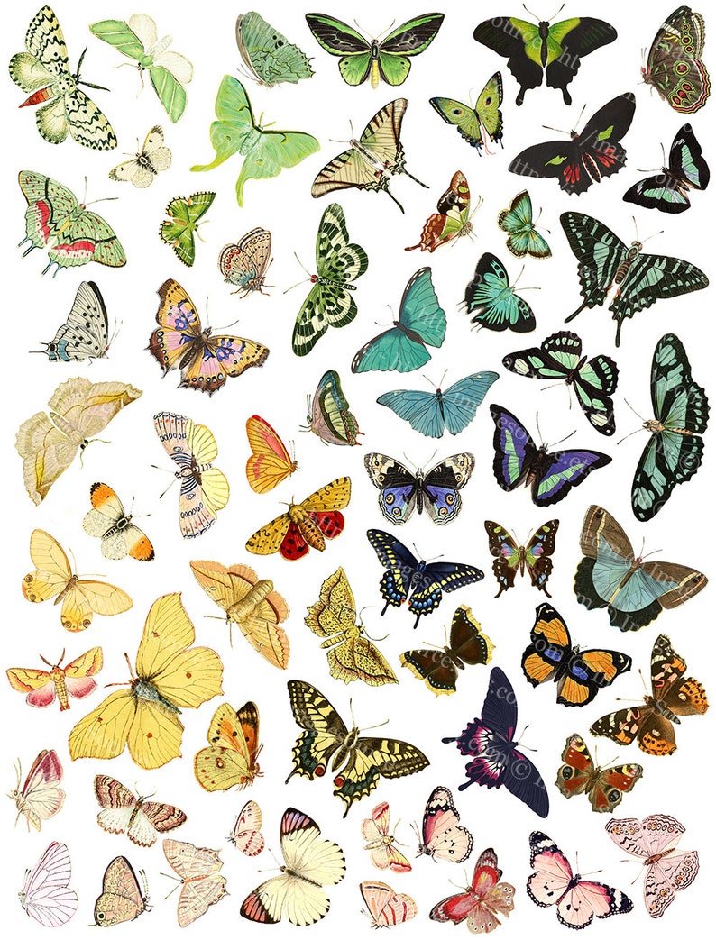 Colorful Butterflies Printable Digital Collage Sheet | Etsy