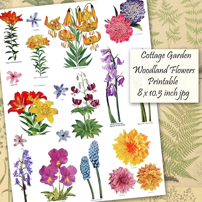 Printable Woodland Flowers, Cottage Garden Digital Crafting Paper 8 X ...