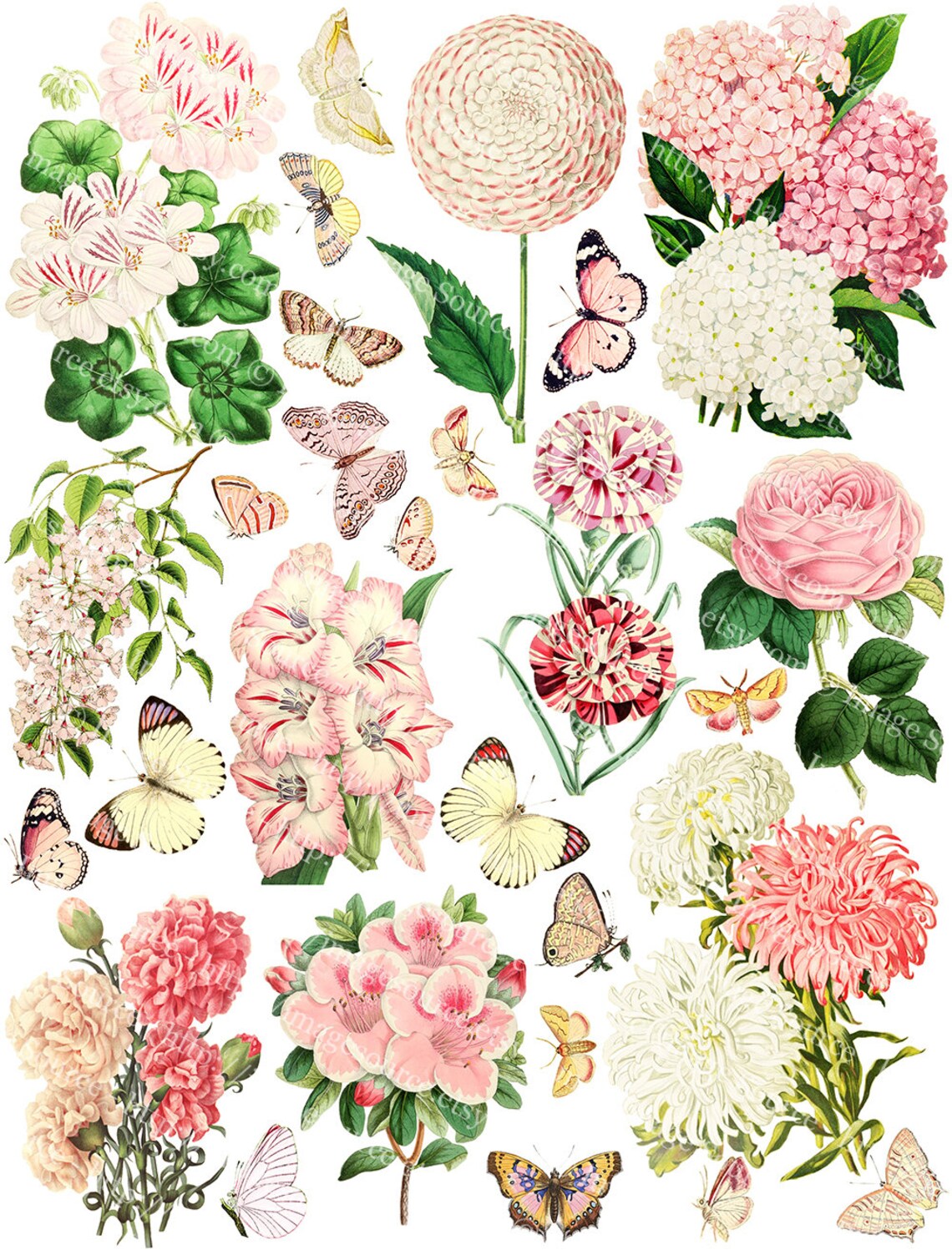 Pink Butterflies and Blooms Printable, Flower Garden Collage Sheet ...