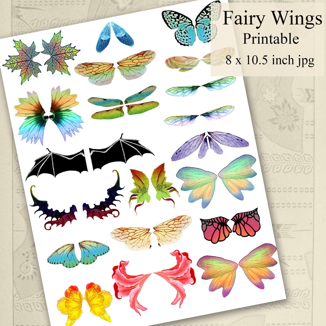 Printable Fairy Wings, Insect Wings Illustrations, Instant Digital ...