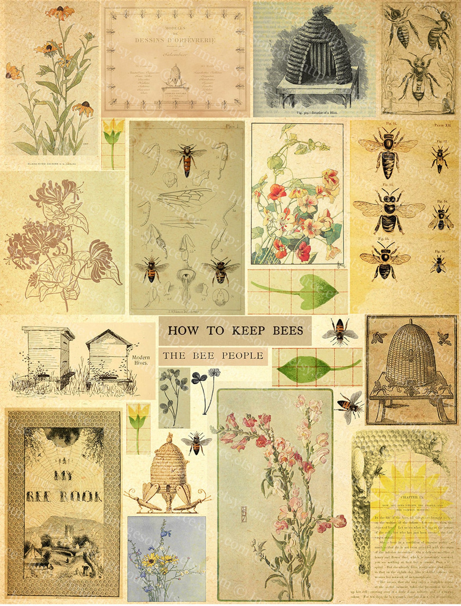 Honey Bees Ephemera Printable Scrapbooking Nature | Etsy