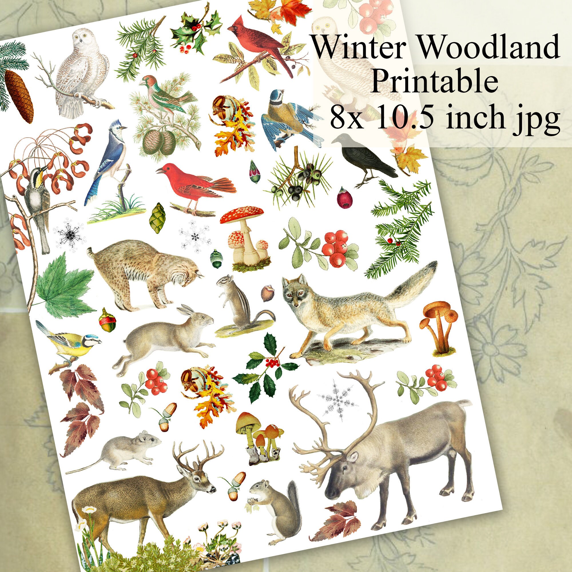 Winter Woodland Printable, Flora and Fauna Winter Forest Nature ...