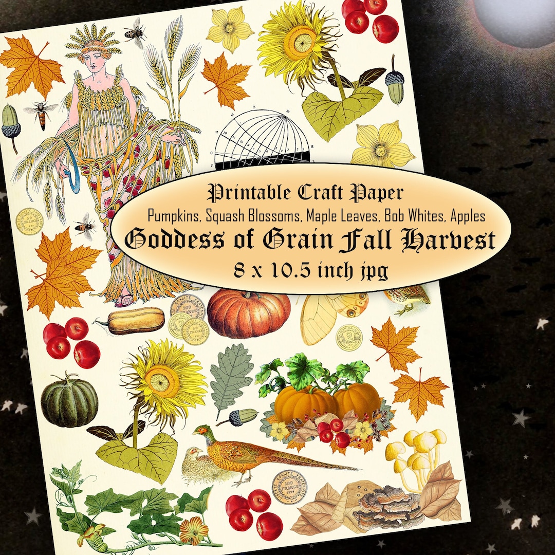 Autumn Harvest Printable 8x 10.5 Inch Digital Collage Sheet, Fall ...