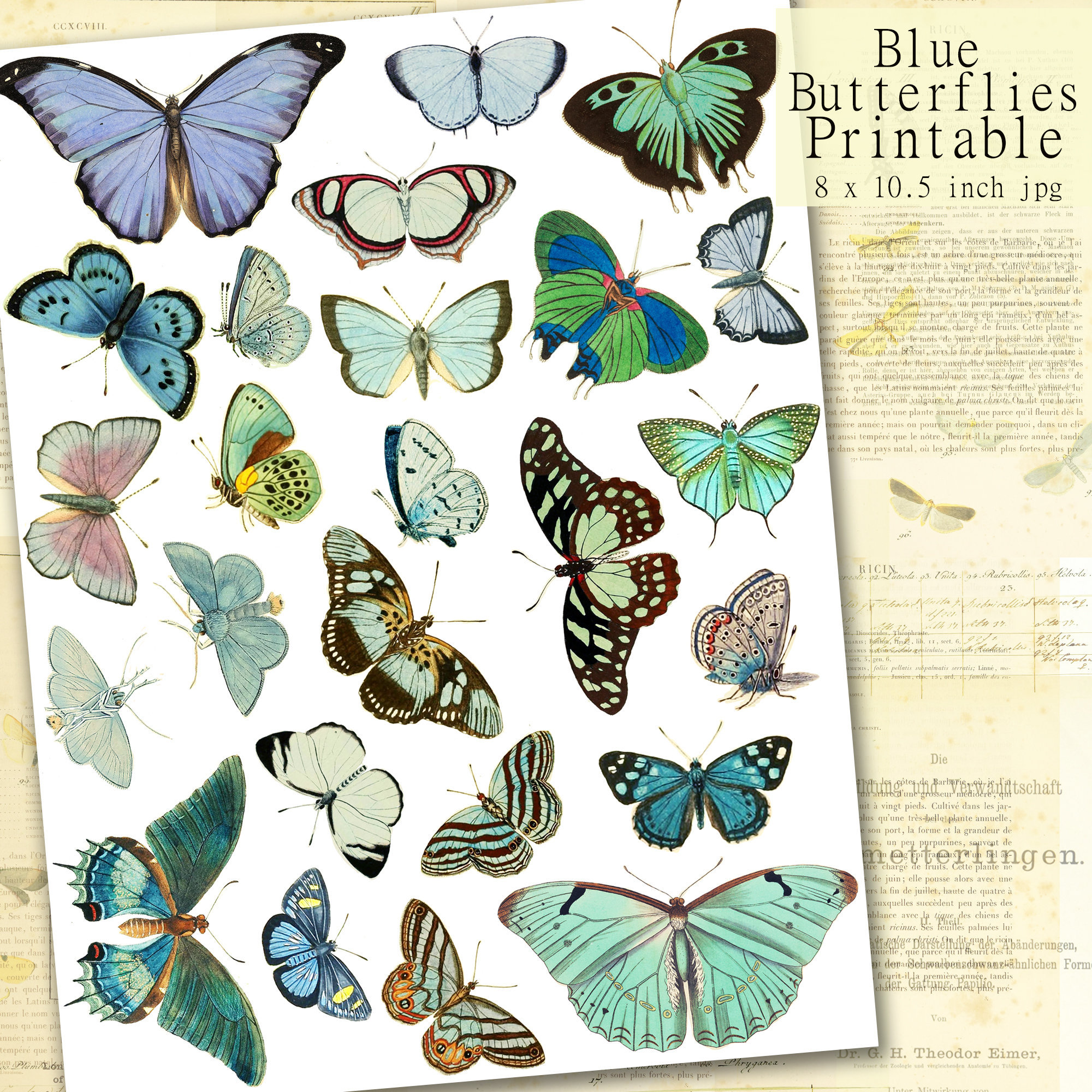 Blue Butterflies Digital Collage Sheet Cottage Garden, Nature Printable ...