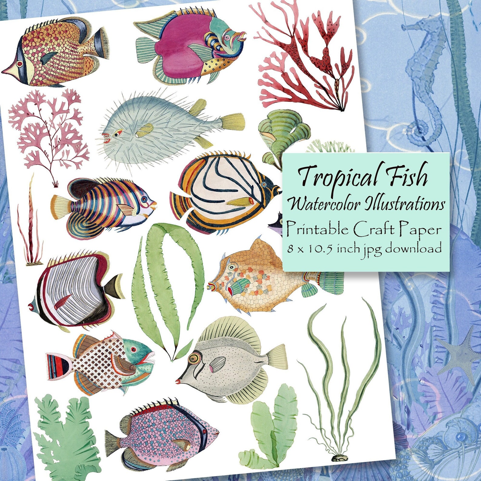 Printable Tropical Fish, Marine Life Watercolor Images, 8x 10.5 Inch ...