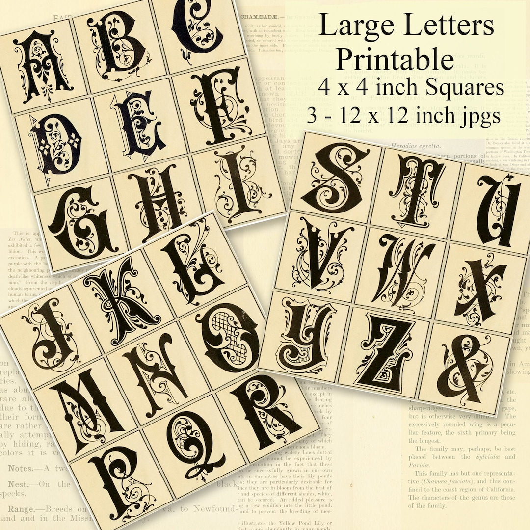 Fancy Alphabet Squares Printable, Decorative, Bold, Large Letters ...