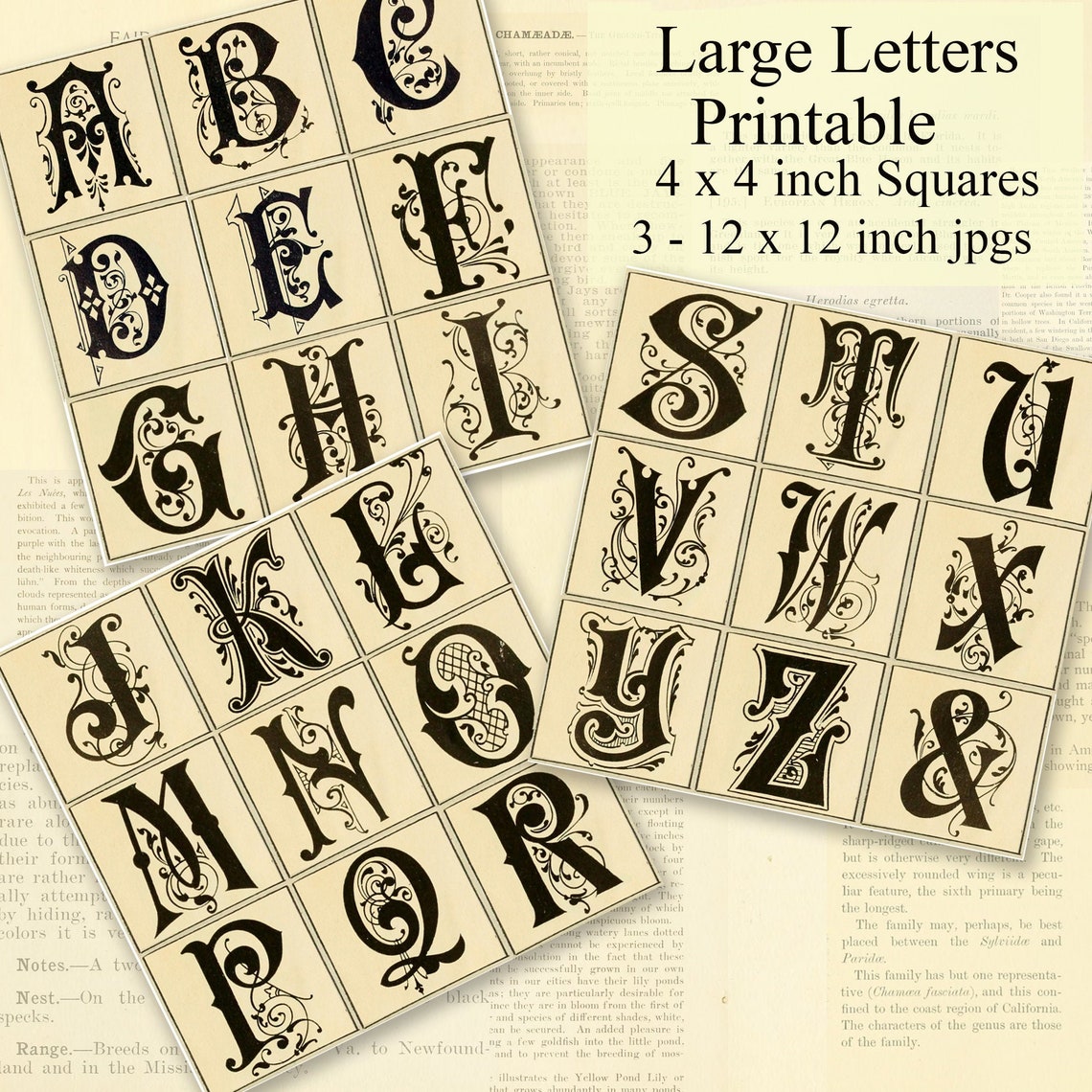 Fancy Alphabet Squares Printable, Decorative, Bold, Large Letters ...