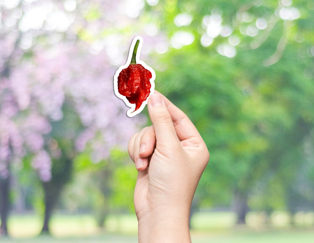 Carolina Reaper Pepper Sticker Pepper Lover Chili Pepper - Etsy
