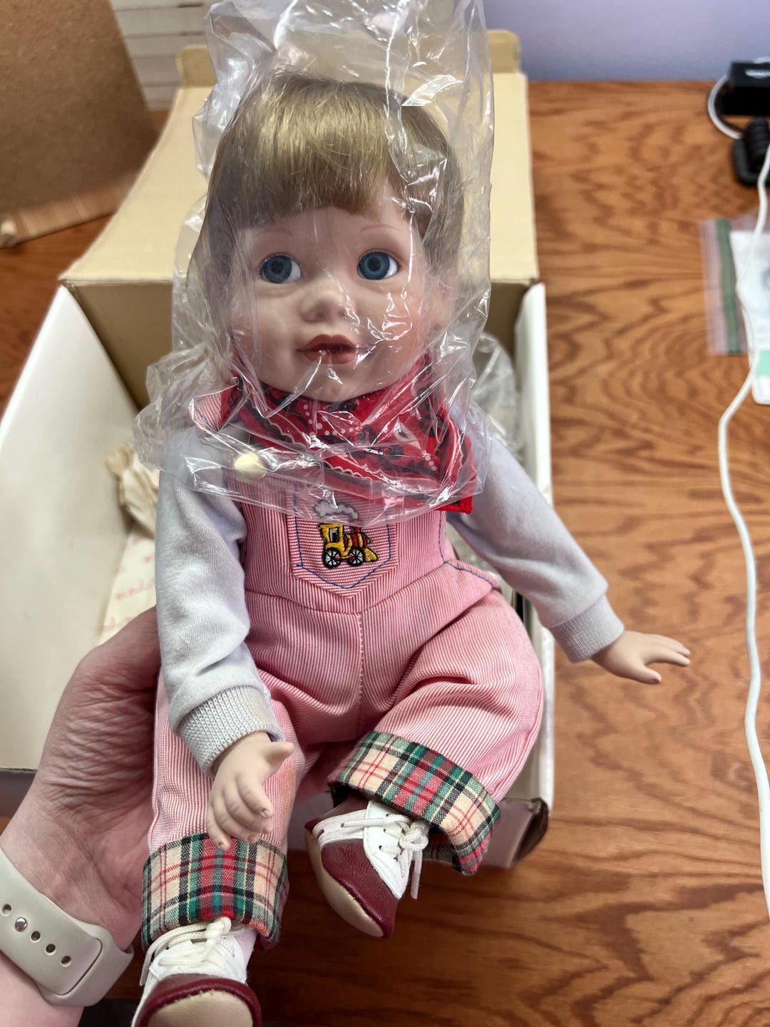 Vintage the Danbury Mint Porcelain Engineer Jimmy Boy Doll by Elke ...