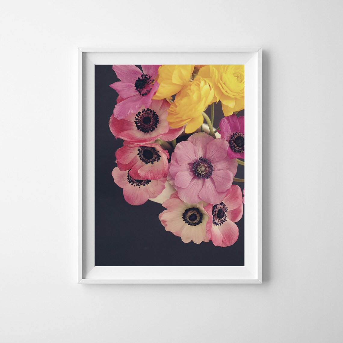 Anemone Floral Photography, Anemones, Floral Art, Colorful, Botanical ...