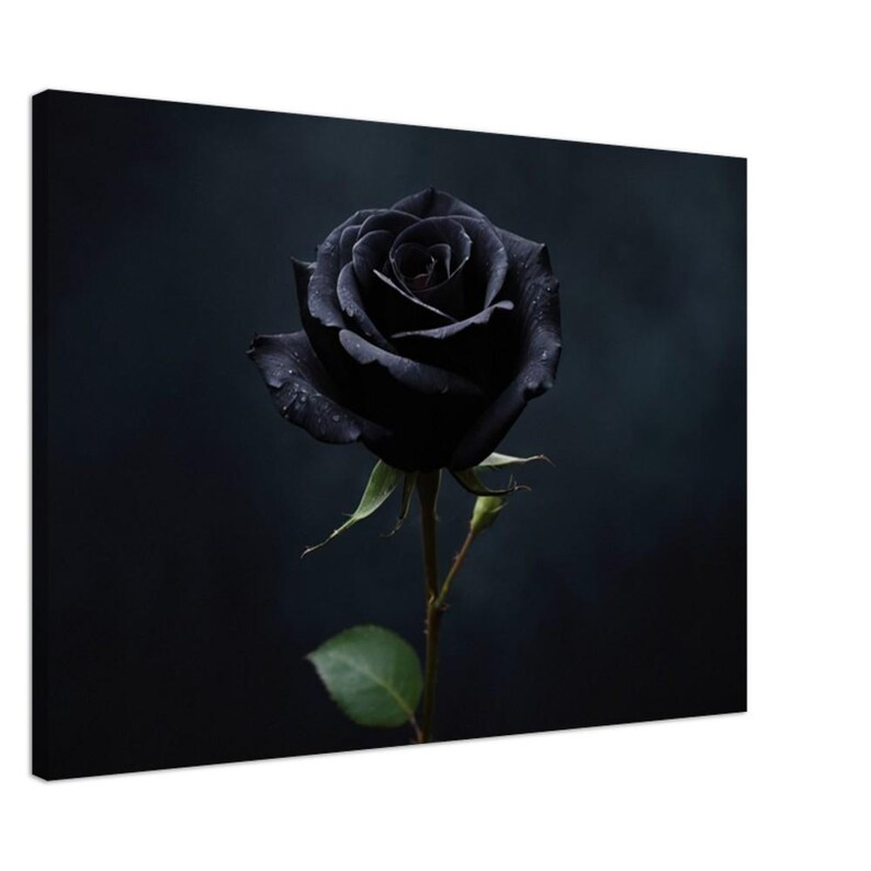 Black Rose on Canvas Elegant and Mysterious Artistic Print for Interior ...