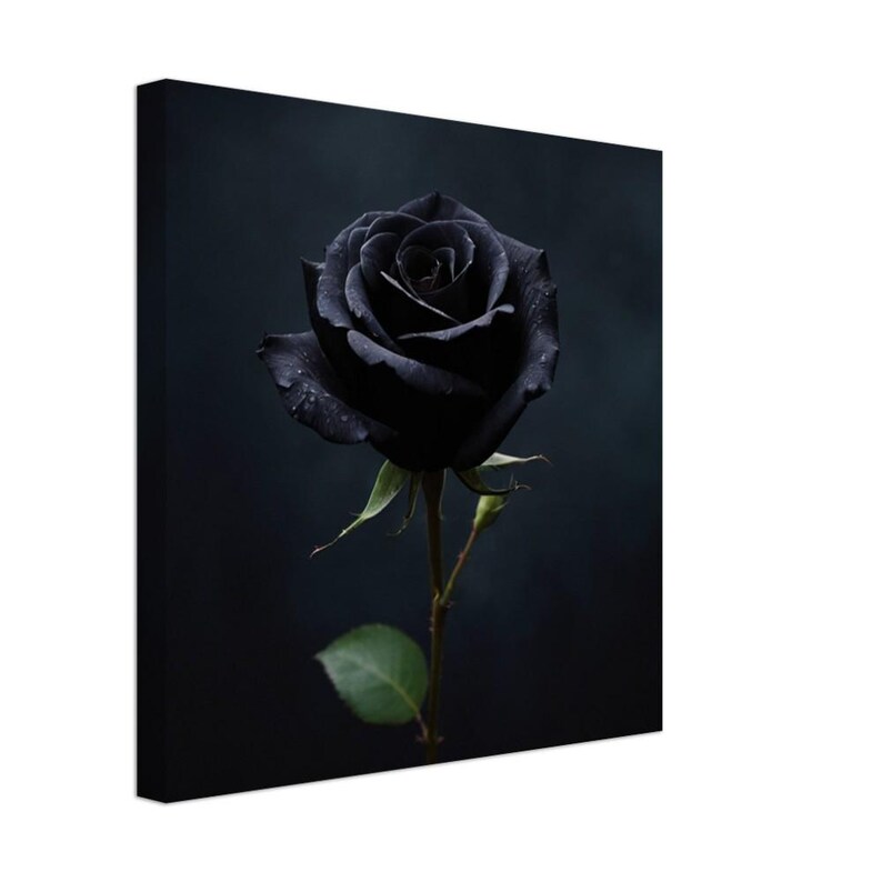 Black Rose on Canvas Elegant and Mysterious Artistic Print for Interior ...